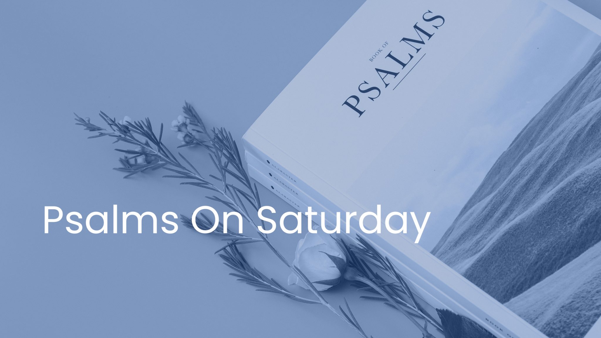 Psalms on Saturday ~ Psalm 114: Going Back to Egypt ...